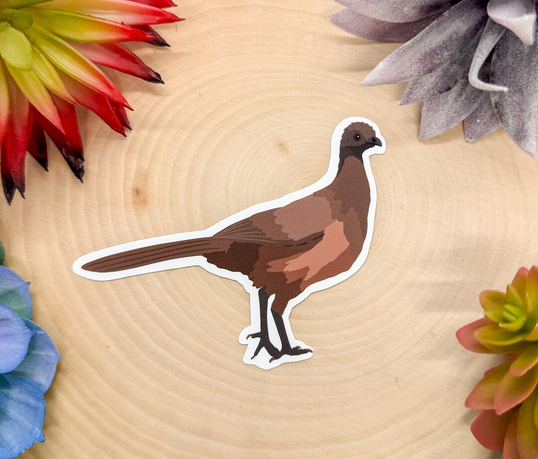 Chachalaca Sticker, Chachalaca Decal, Chachalaca Bird Gift, Chachalaca ...
