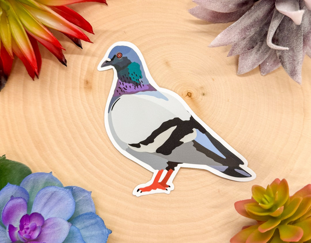 Rock Pigeon Sticker, Rock Pigeon Decal, Pigeon Gift, Pigeon Decor ...