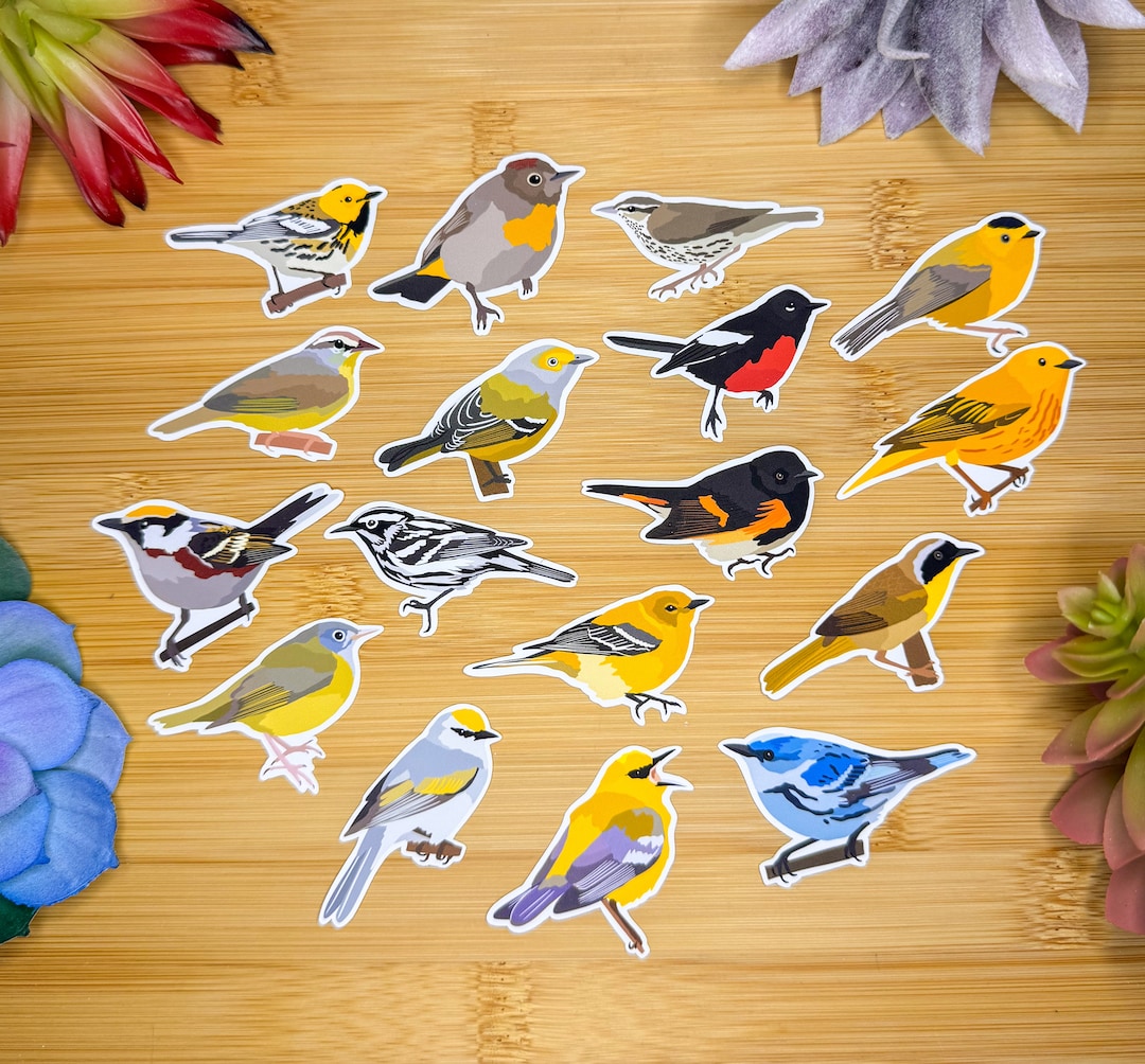 Warbler Sticker Pack, Mini Bird Sticker Pack, Bird Journal Stickers ...