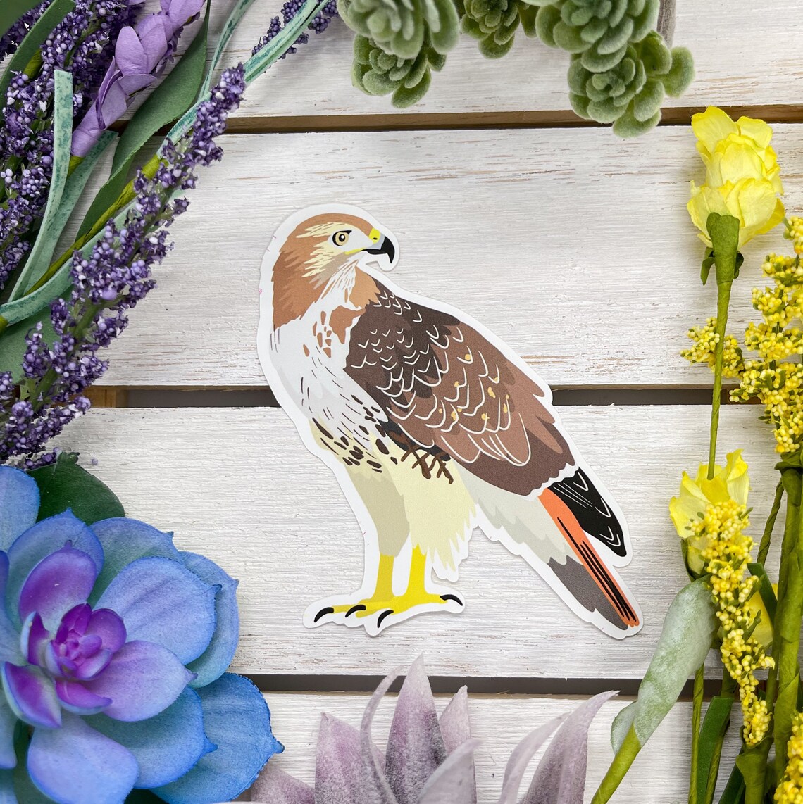 Red Tailed Hawk Sticker Bird Sticker Birdwatching Sticker | Etsy