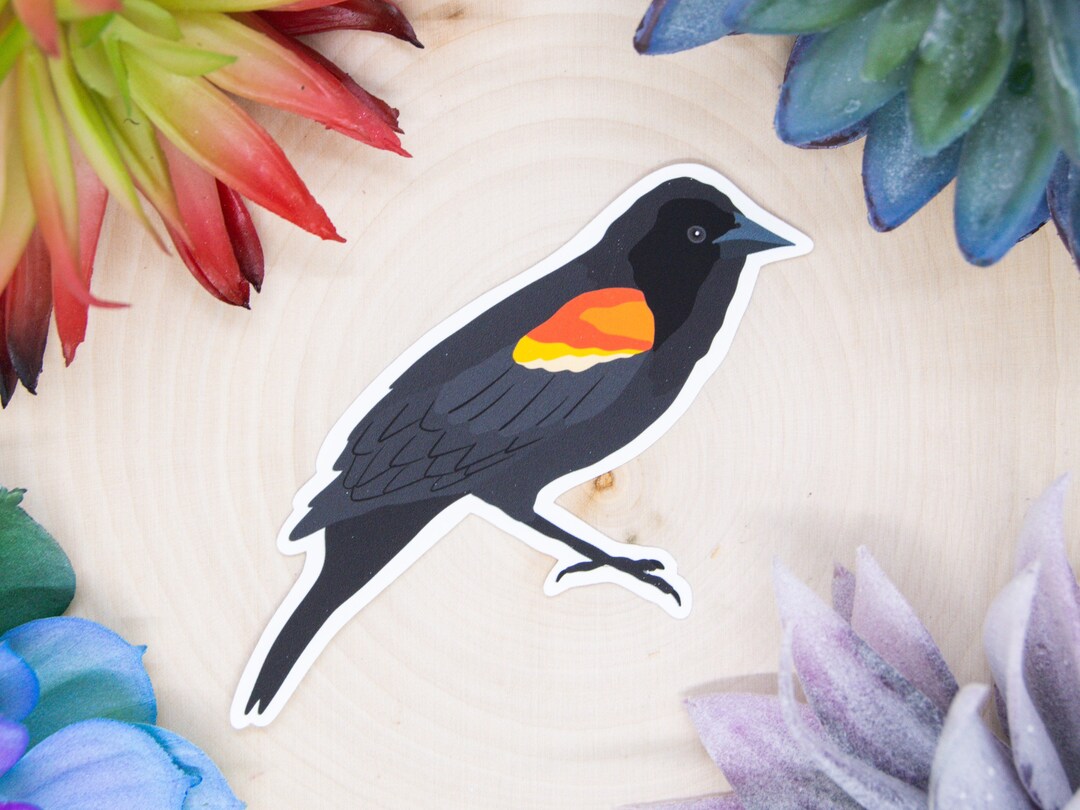 Red Winged Black Bird Sticker, Black Bird Sticker, Black Bird Decal ...
