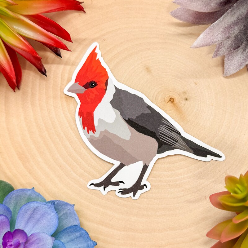 Cardinal Decal - Etsy