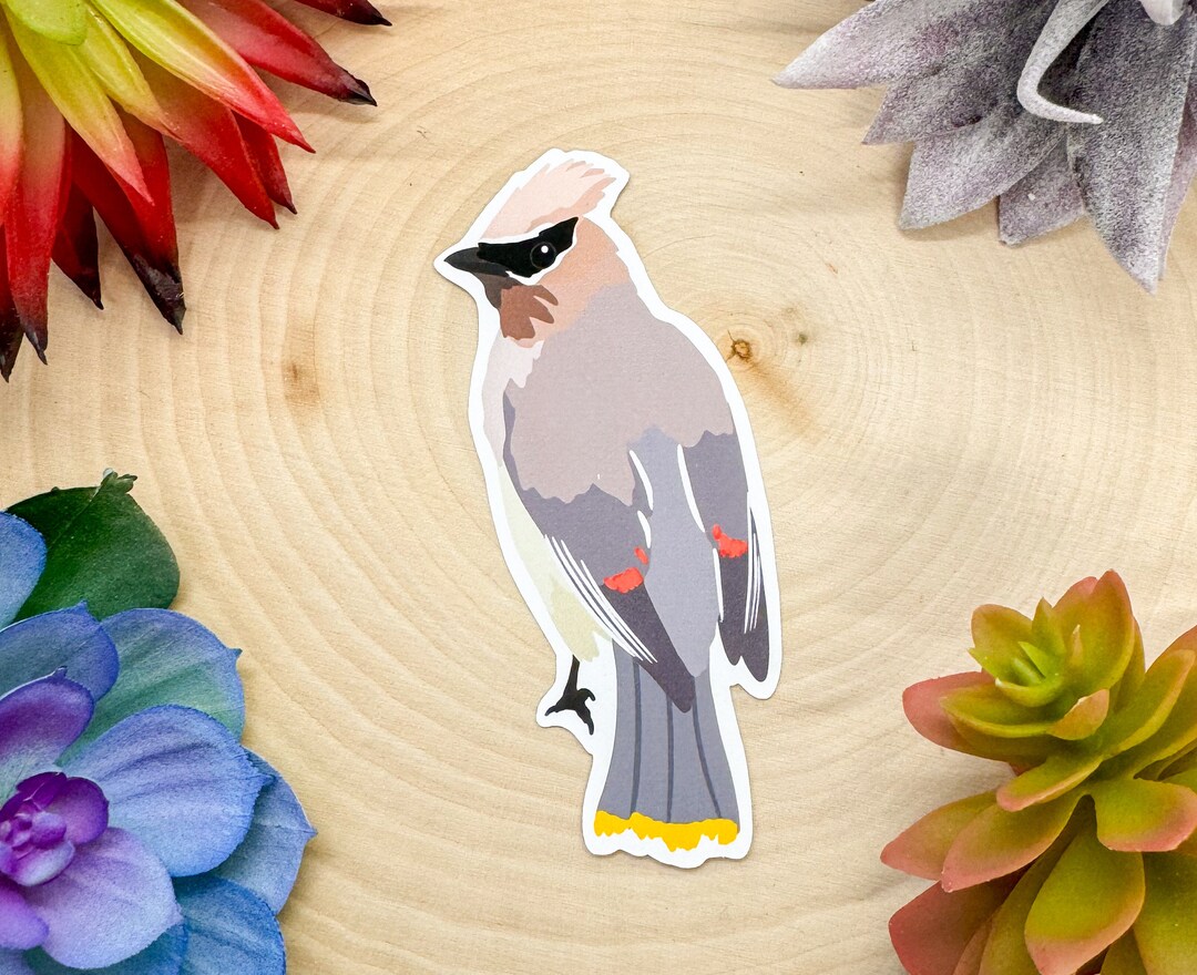 Cedar Waxwing Sticker, Bird Sticker, Birdwatching Sticker, Birding ...
