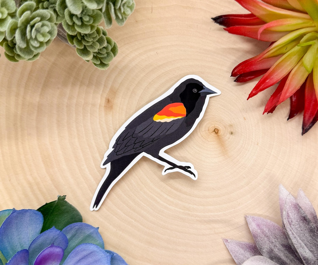 Red Winged Black Bird Sticker, Black Bird Sticker, Black Bird Decal ...
