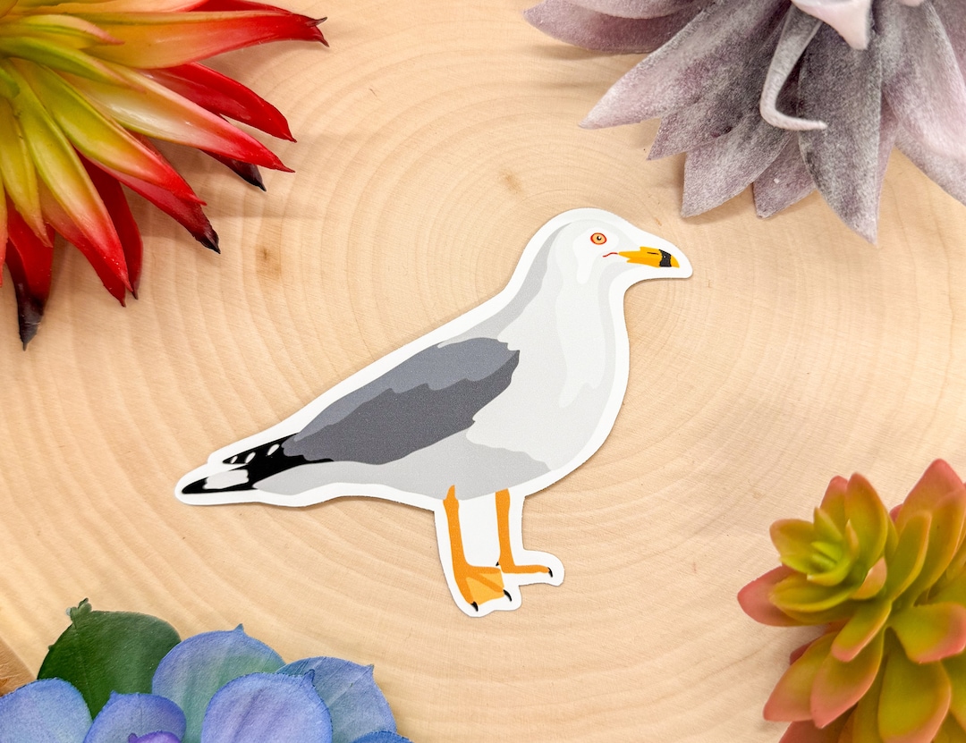 Ring Billed Gull Sticker, Seagull Decal, Seagull Gift, Gull Decor, Gull ...