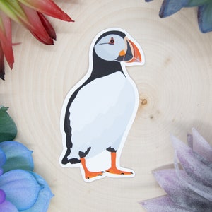 Atlantic Puffin Sticker, Bird Sticker, Birdwatching Sticker, Birding ...
