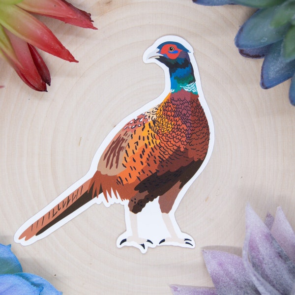 Pheasant Decor - Etsy