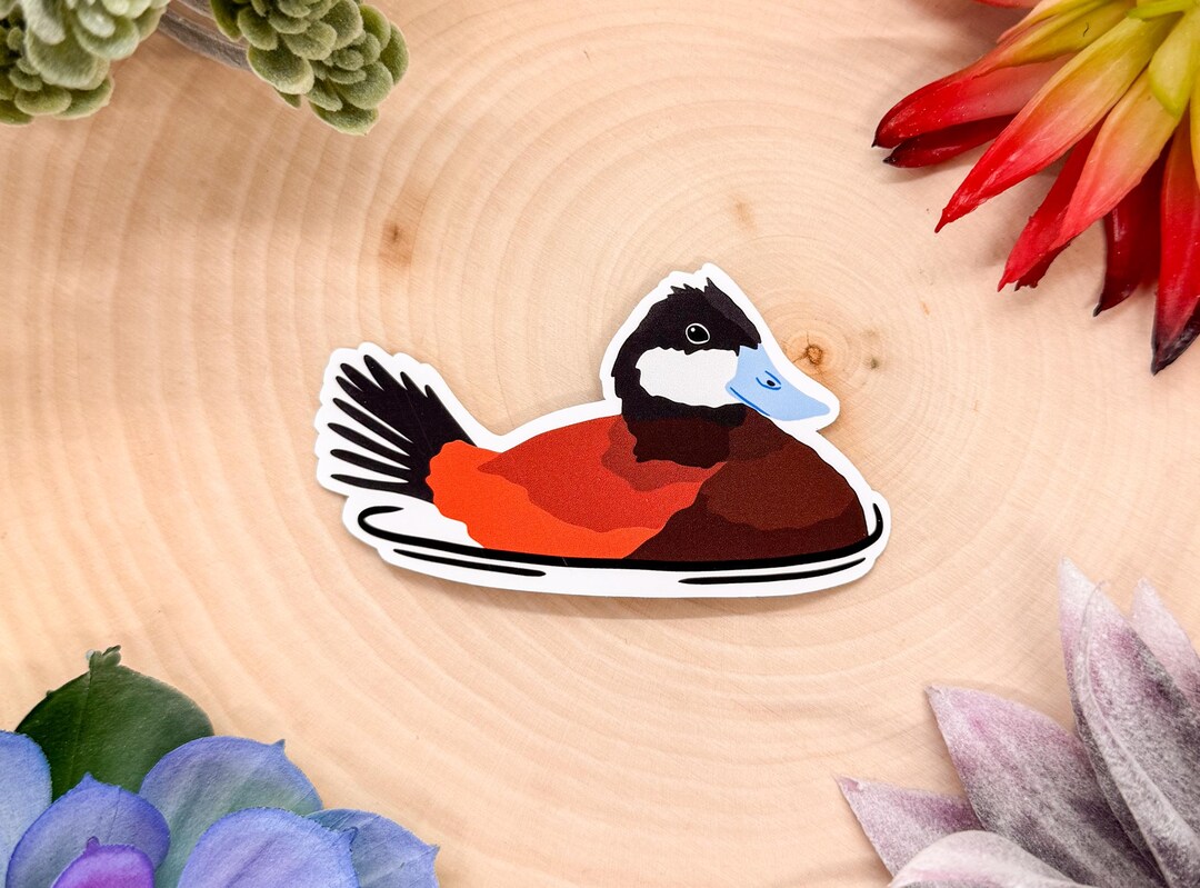 Ruddy Duck Sticker, Bird Sticker, Birdwatching Sticker, Birding Sticker ...