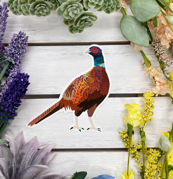 Pheasant Sticker Bird Sticker Birdwatching Sticker Birding - Etsy