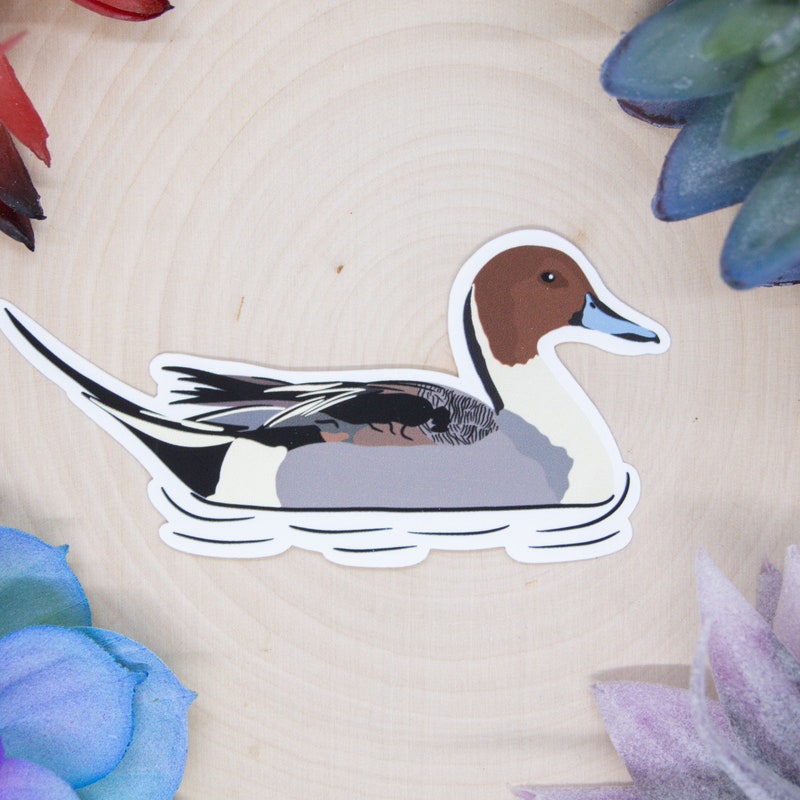 Duck Decals - Etsy