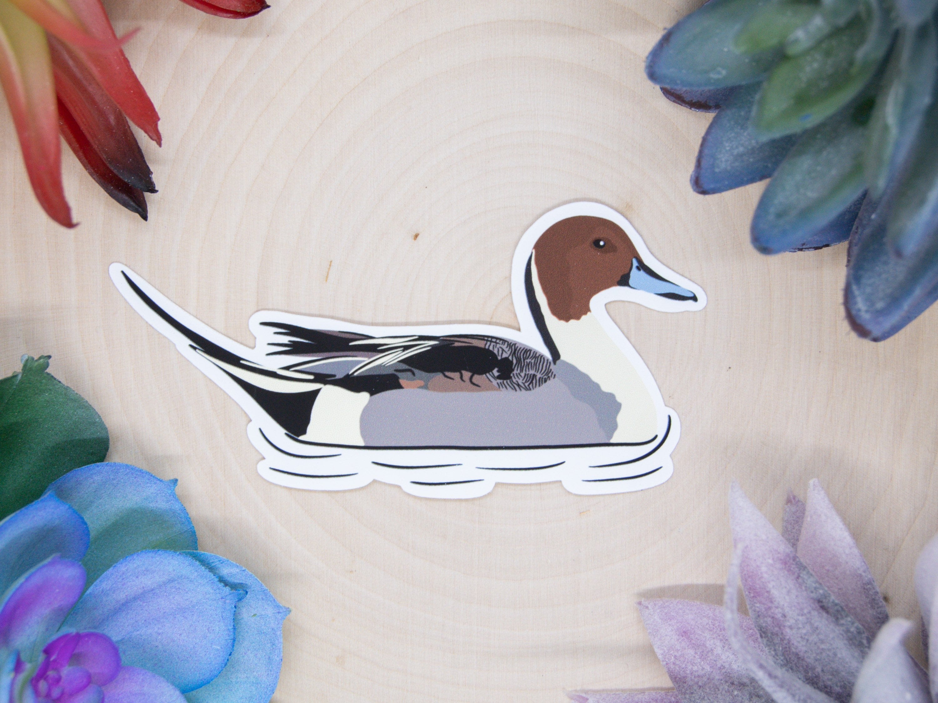 Drake Waterfowl Decals