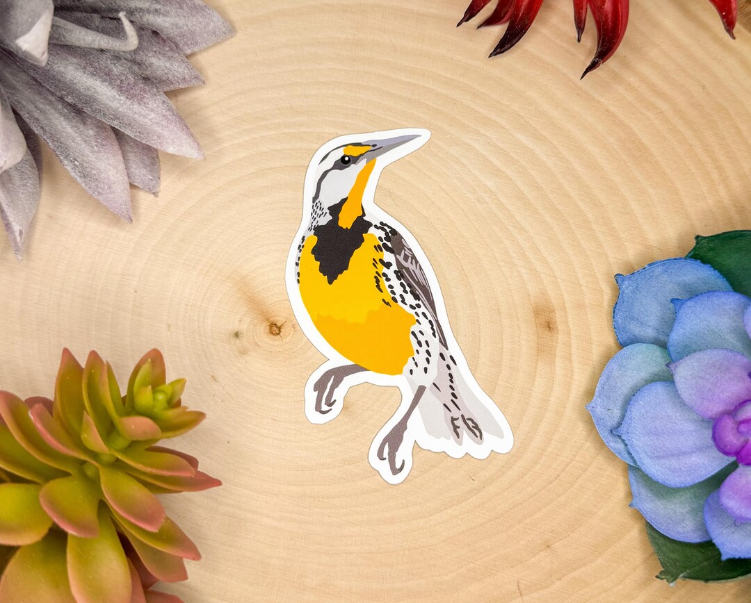 Eastern Meadowlark Sticker, Eastern Meadowlark Decal, Meadowlark Gift ...