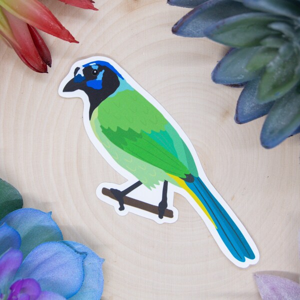 Green Bird - Etsy
