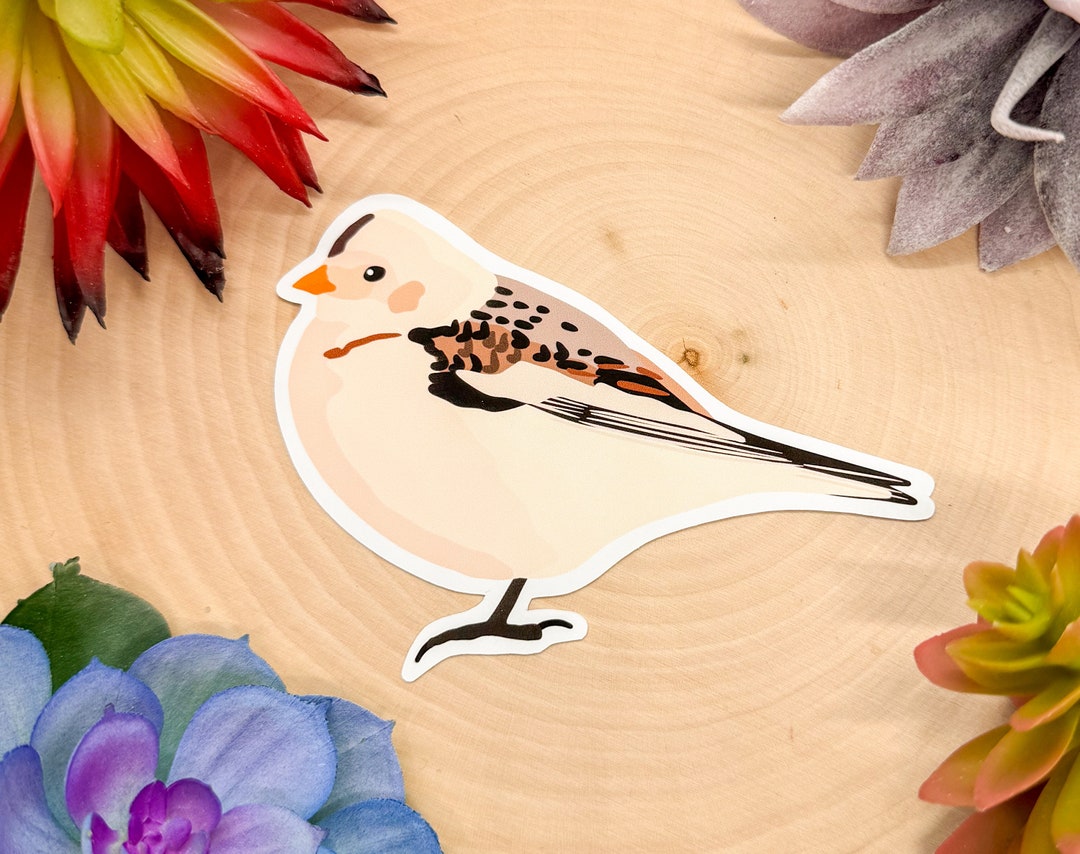 Snow Bunting Sticker, Snow Bunting Decal, Snow Bunting Bird Gift ...