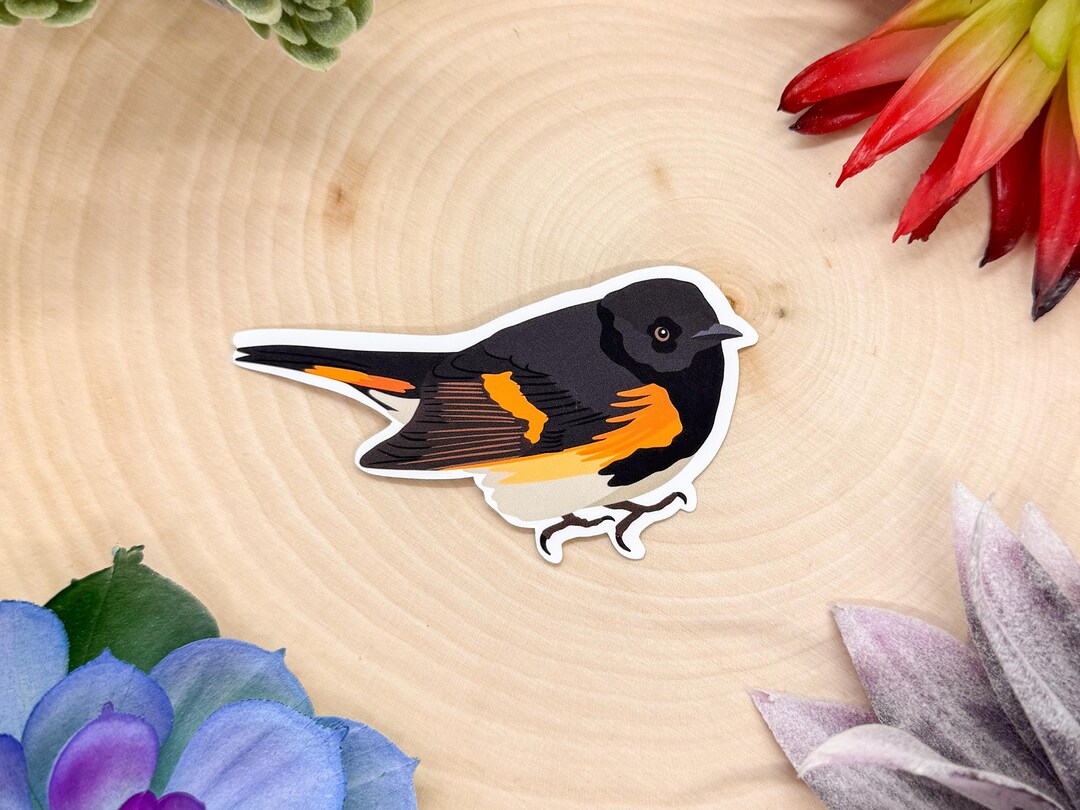 American Redstart Sticker, Redstart Sticker, Redstart Decal, Warbler ...