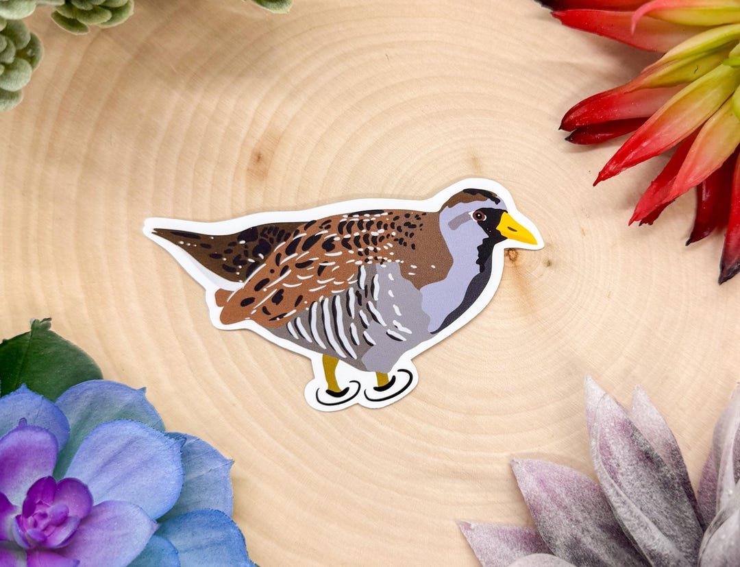 Sora Sticker, Sora Rail Sticker, Sora Decal, Sora Gift, Sora Decor ...