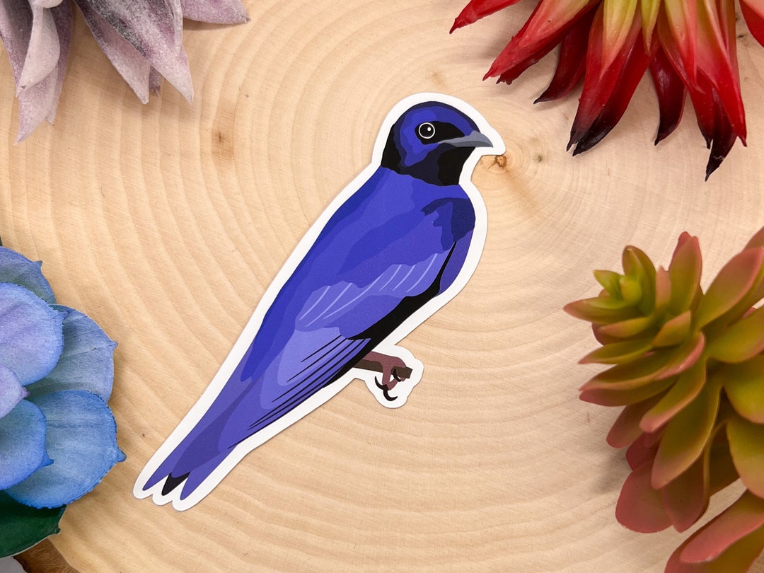 Purple Martin Sticker, Purple Martin Decal, Purple Martin Gift, Purple ...