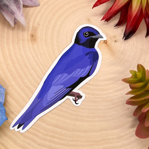 Purple Martin - Etsy