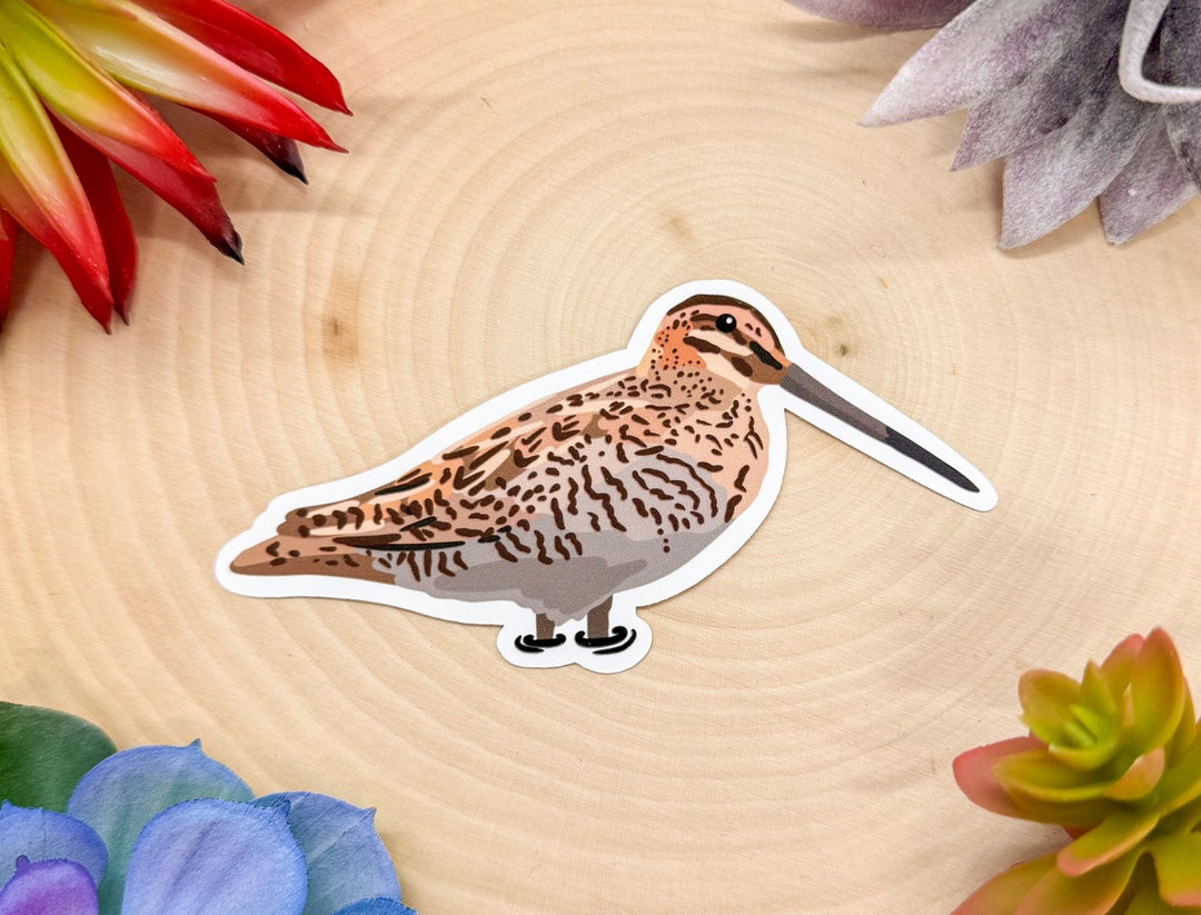 Wilson’s Snipe Sticker, Wilson’s Snipe Decal, Wilson’s Snipe Gift ...