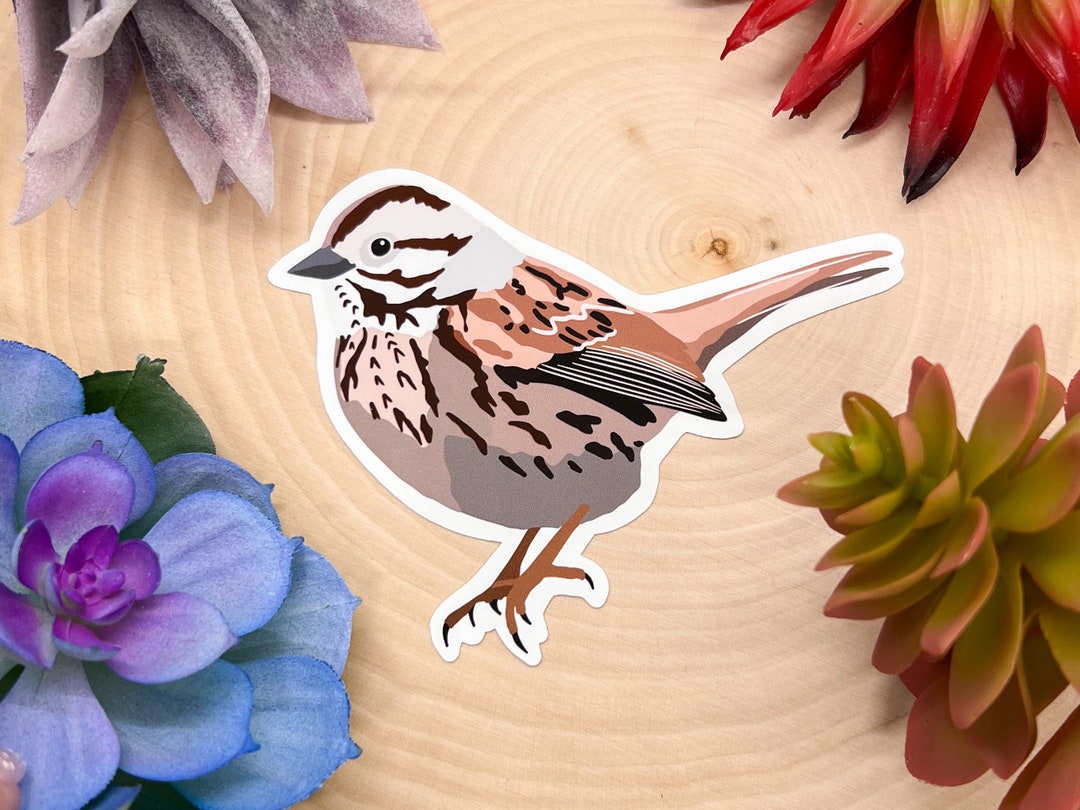 Song Sparrow Sticker, Song Sparrow Decal, Song Sparrow Gift, Song ...