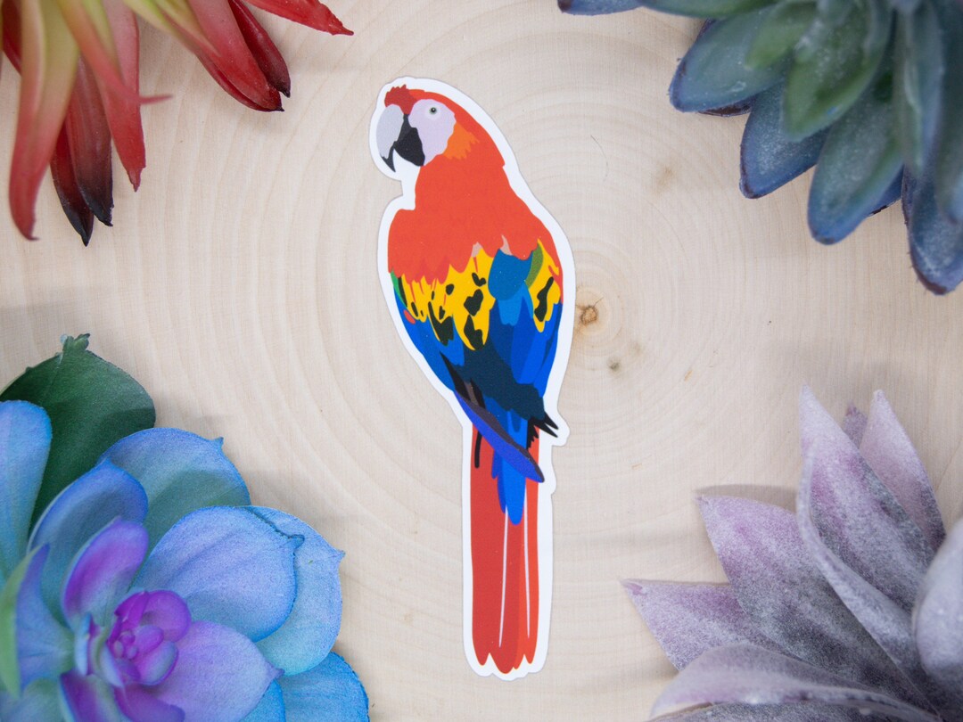 Scarlet Macaw Sticker, Bird Sticker, Birdwatching Sticker, Birding ...