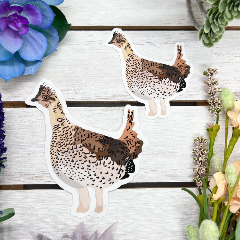 Ruffed Grouse Sticker Ruffed Grouse Decal Ruffed Grouse - Etsy