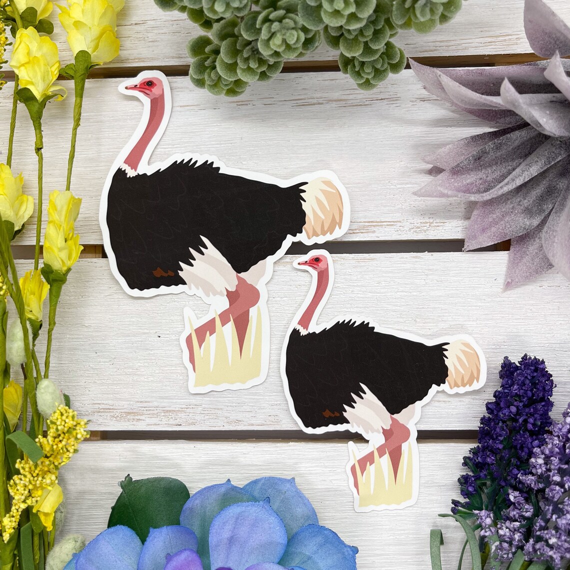 Ostrich Sticker Bird Sticker Birdwatching Sticker Birding - Etsy