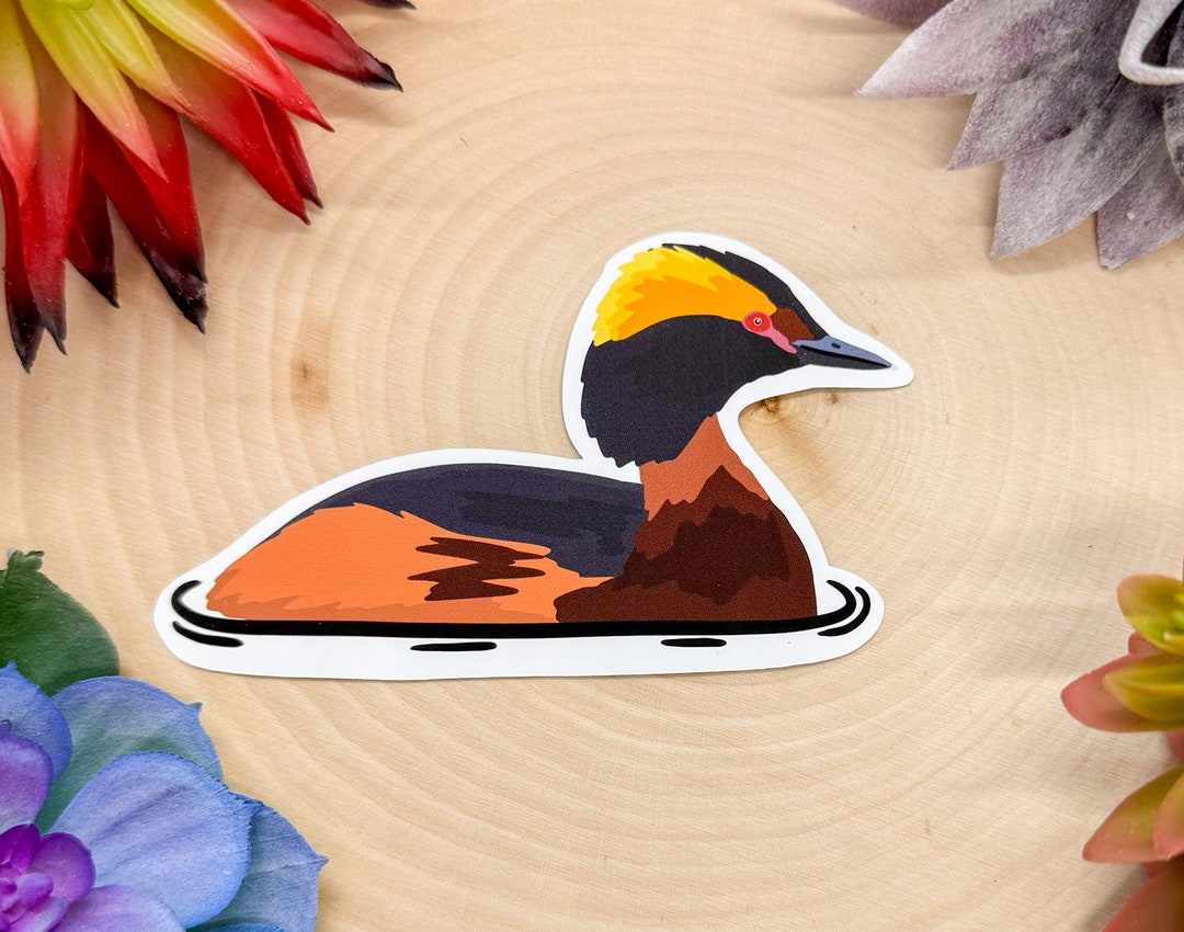 Horned Grebe Sticker, Horned Grebe Decal, Horned Grebe Gift, Horned ...