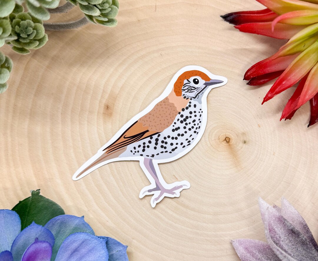 Wood Thrush Sticker, Wood Thrush Decal, Thrush Bird, Wood Thrush Gift ...