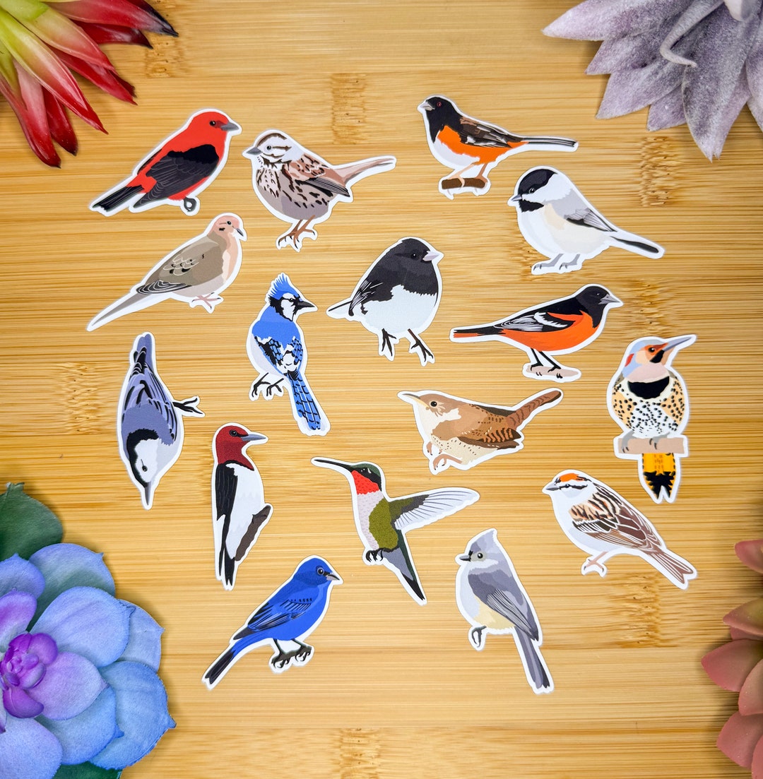 Backyard Birds Sticker Pack, Mini Bird Sticker Pack, Bird Journal ...