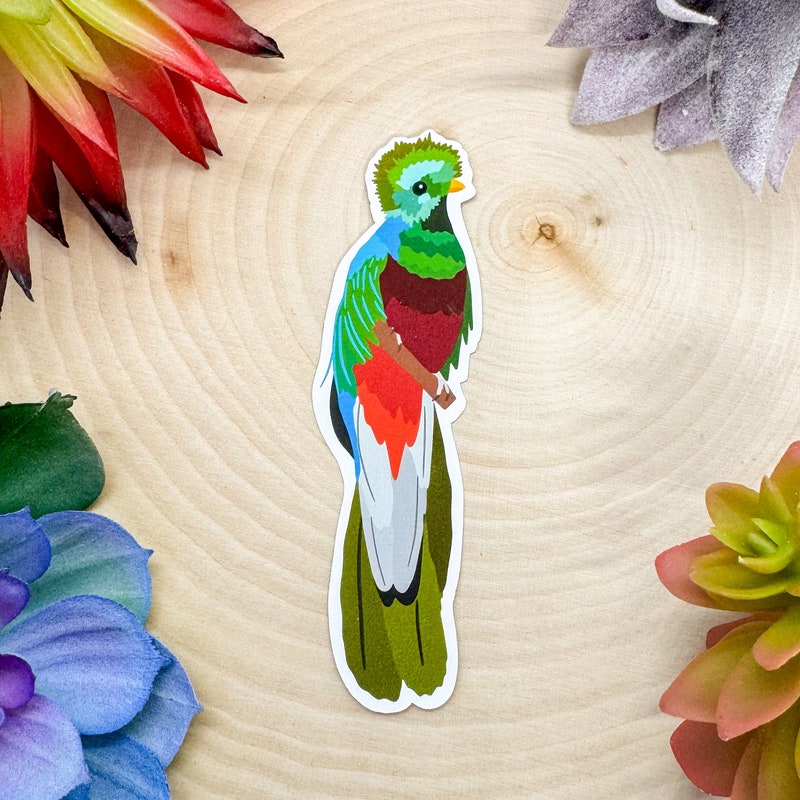 Resplendent Quetzal Prints - Etsy