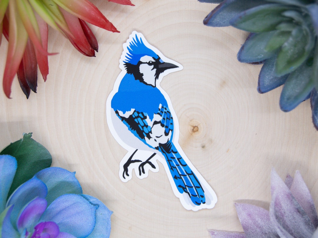 Blue Jay Sticker, Bird Sticker, Birdwatching Sticker, Birding Sticker ...