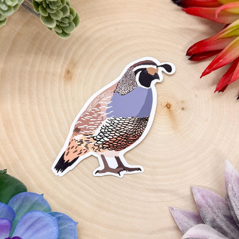 Quail Stickers - Etsy