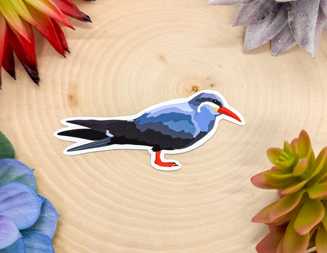 Inca Tern Sticker, Inca Tern Decal, Inca Tern Gift, Inca Tern Decor - Etsy