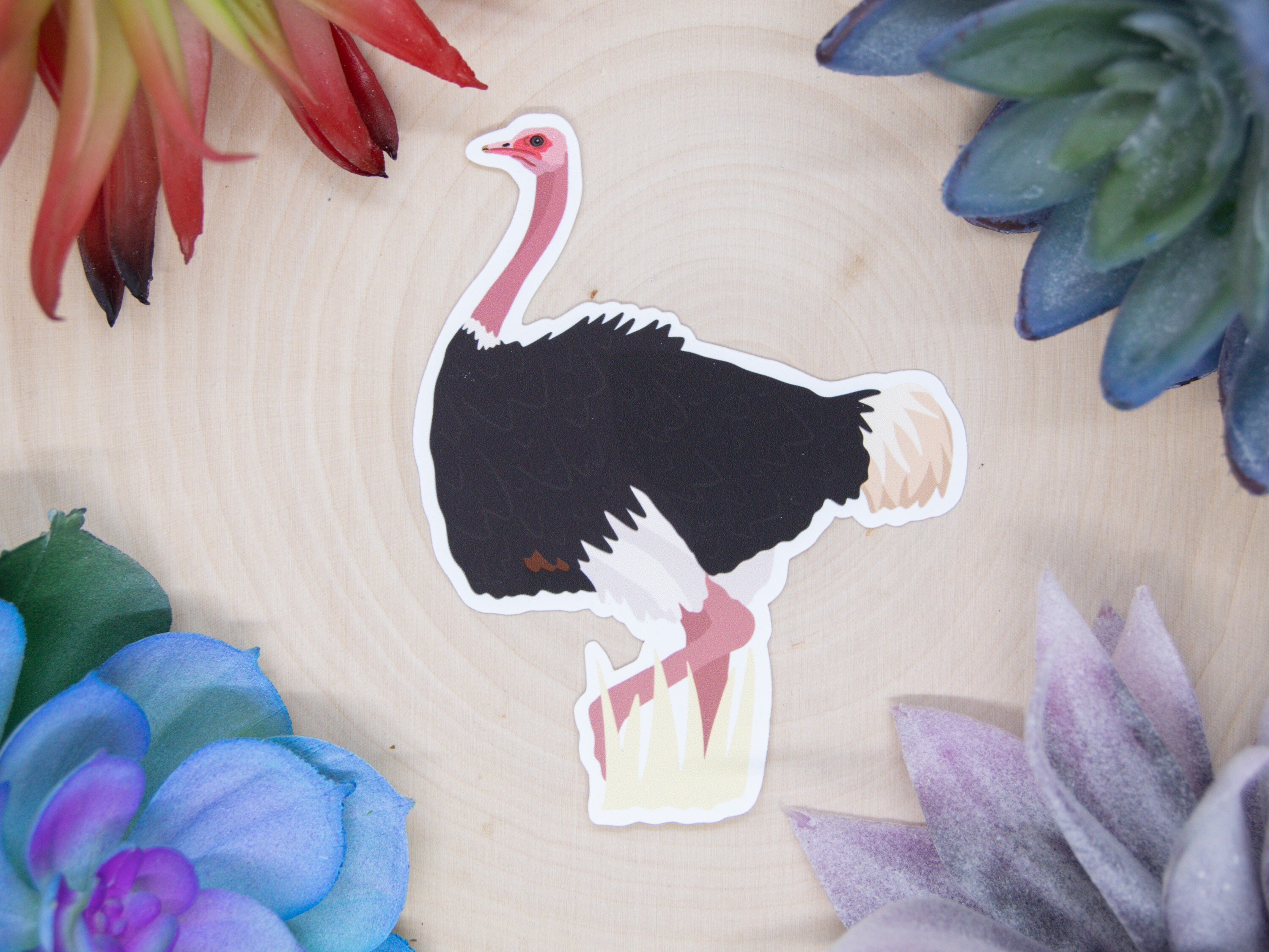 Ostrich Sticker Bird Sticker Birdwatching Sticker Birding - Etsy