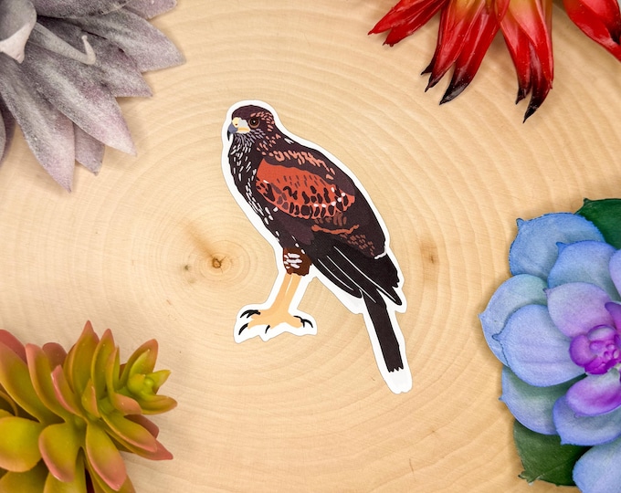 Flaming Hawk (courtesy of Tribaltattoos.com) Indoor/outdoor Permanent ...