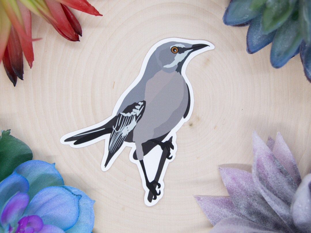 Mockingbird Sticker, Bird Sticker, Birdwatching Sticker, Birding ...