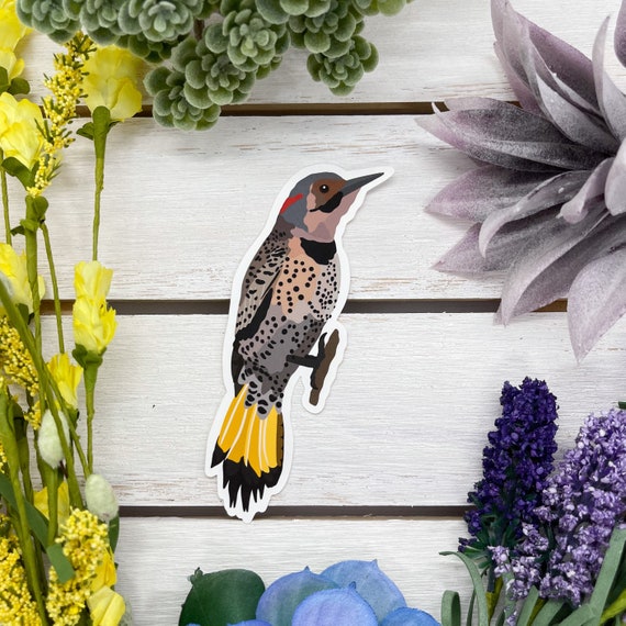 Nothern Flicker Sticker Bird Sticker Birdwatching Sticker - Etsy