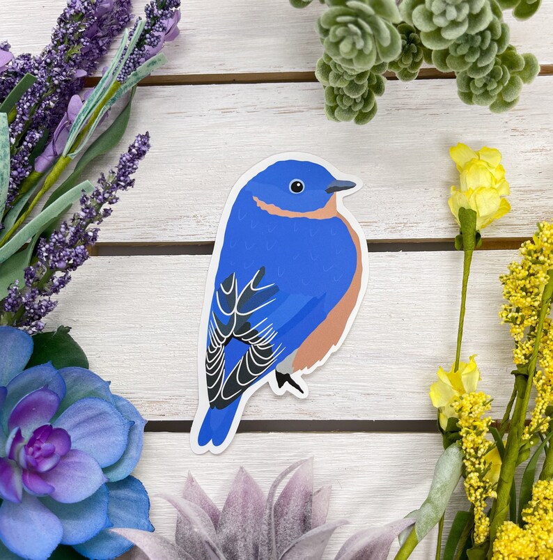 Eastern Bluebird Sticker Bird Sticker Birdwatching Sticker | Etsy