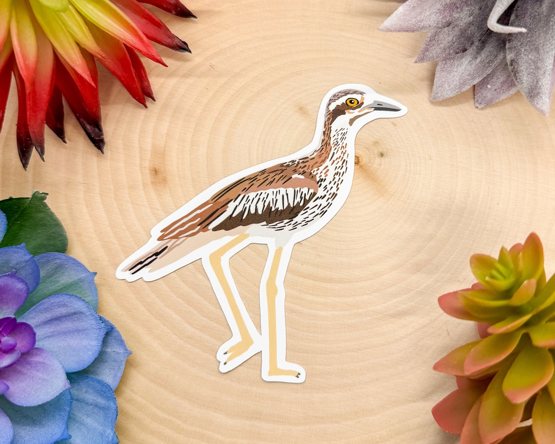 Bush Stone Curlew Sticker, Bush Stone Curlew Decal, Bush Stone Curlew ...