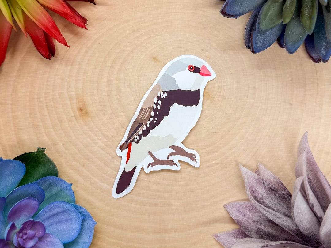 Diamond Firetail Sticker, Diamond Firetail Decal, Birdwatching Sticker ...
