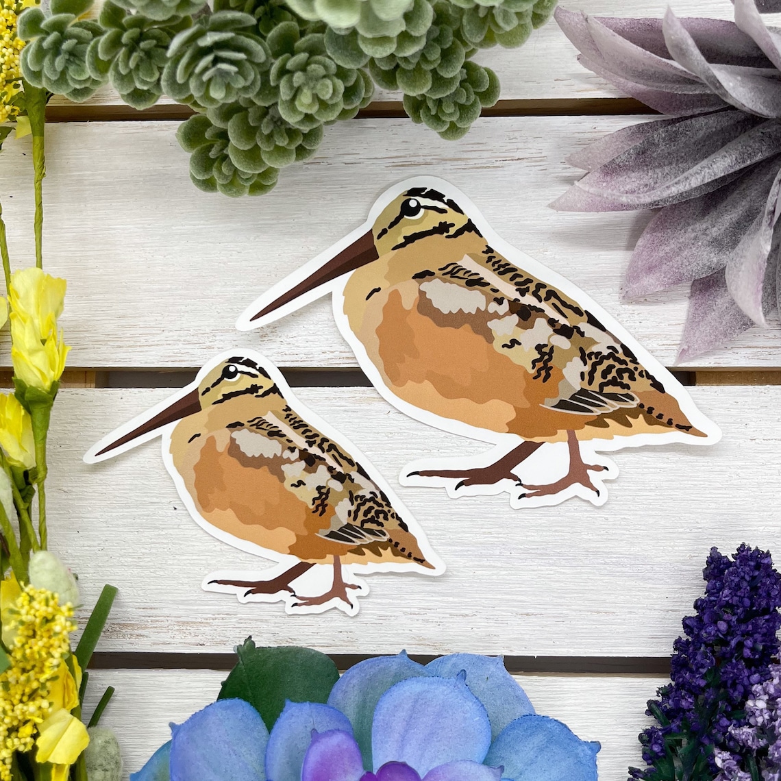 American Woodcock Sticker Bird Sticker Birdwatching Sticker - Etsy