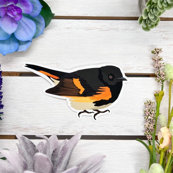 American Redstart Sticker Redstart Sticker Redstart Decal - Etsy