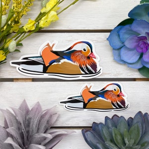 Mandarin Duck Sticker, Mandarin Duck Decal, Mandarin Duck Gift ...