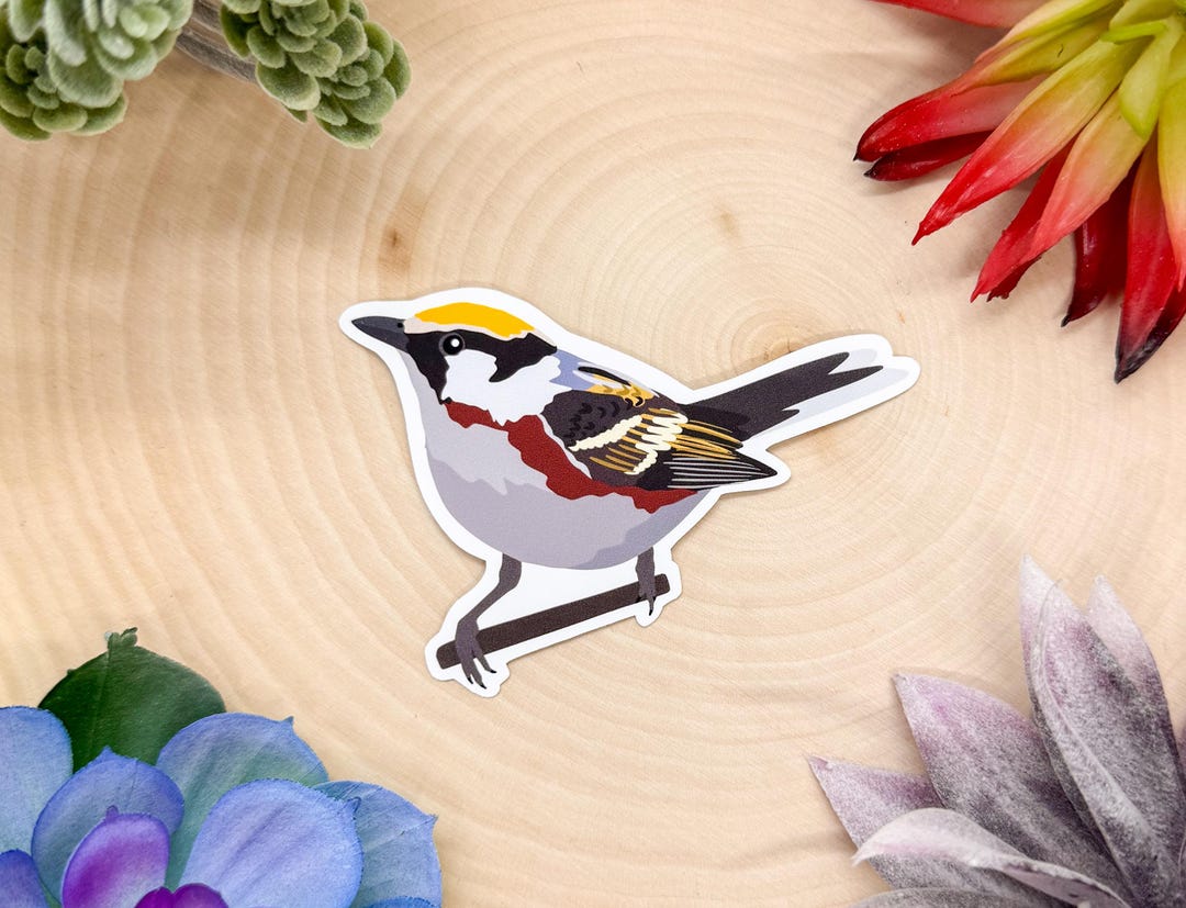 Chestnut Sided Warbler Sticker, Chestnut Sided Warbler Decal, Bird ...