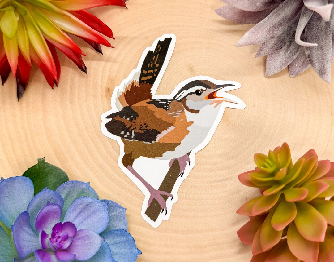 Marsh Wren Sticker, Marsh Wren Decal, Marsh Wren Gift, Wren Decor, Wren ...