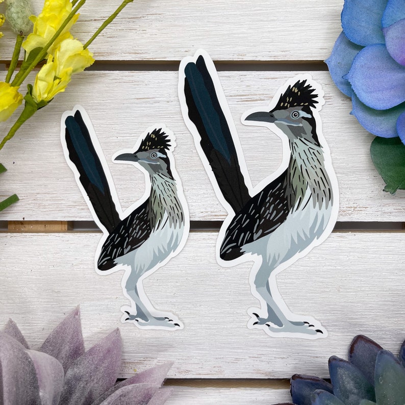 Roadrunner Sticker Roadrunner Decal Roadrunner Decor - Etsy
