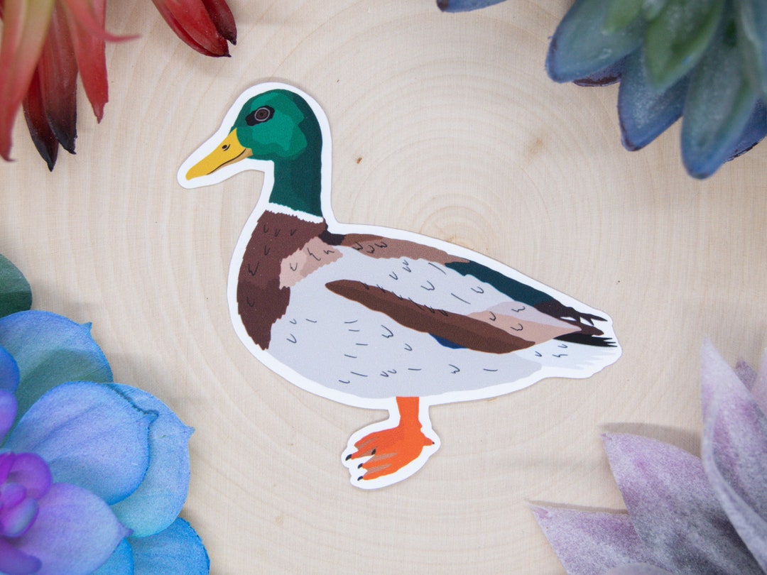 Mallard Sticker, Bird Sticker, Birdwatching Sticker, Birding Sticker ...