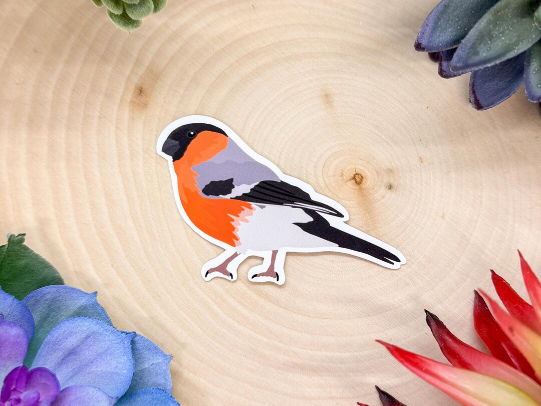 Eurasian Bullfinch Sticker, Eurasian Bullfinch Decal, Eurasian ...