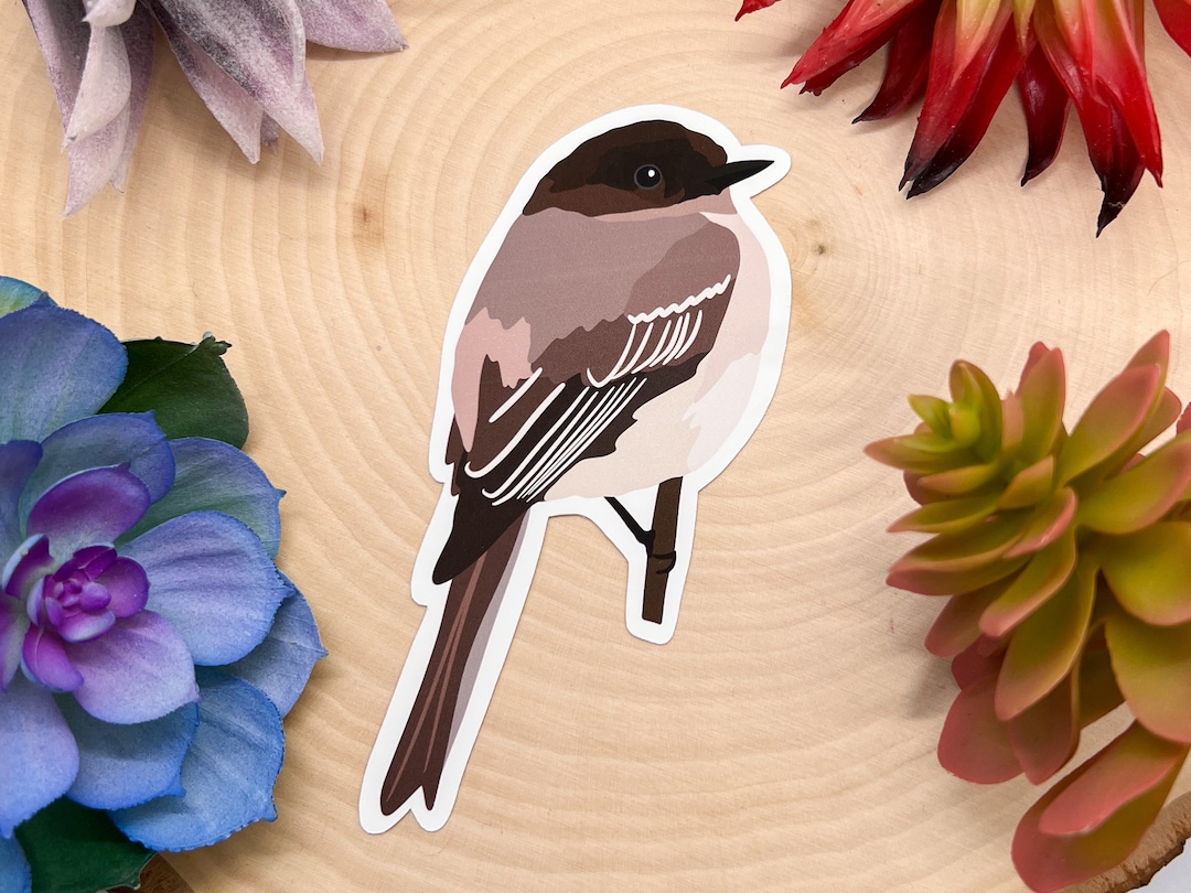 Eastern Phoebe Sticker, Eastern Phoebe Decal, Eastern Phoebe Gift ...